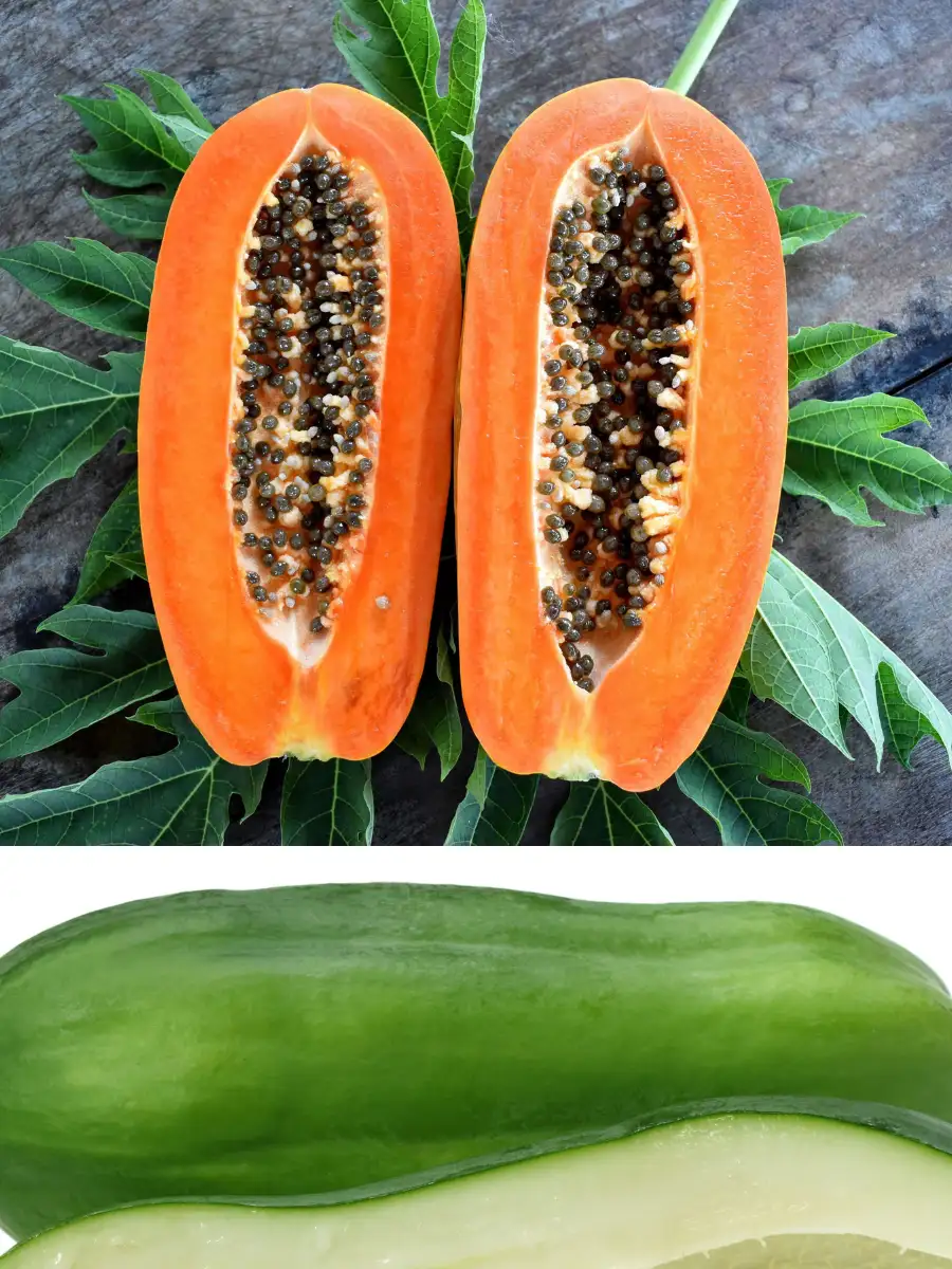 Boiled vs raw papaya, which offers more health benefits | EconomicTimes