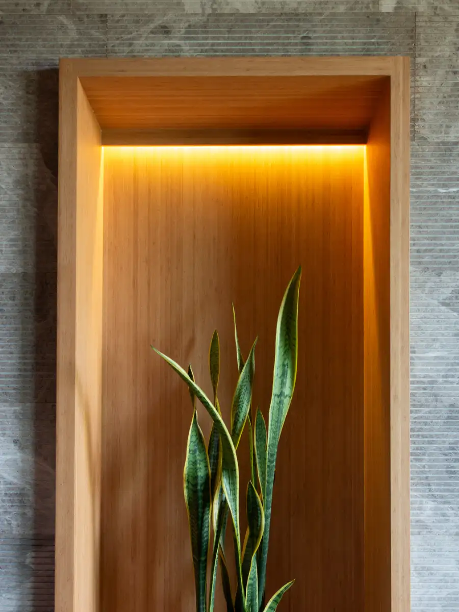 8 benefits of keeping a snake plant in your kitchen | EconomicTimes
