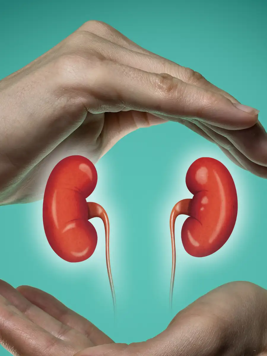 8 best foods to boost your kidney health | EconomicTimes