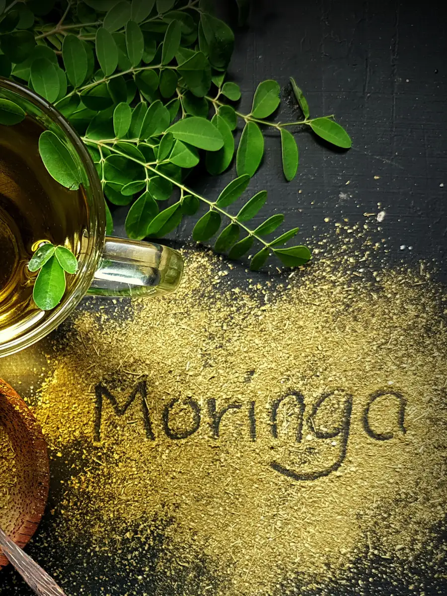 How to make moringa taste delicious in everyday dishes: 9 tips ...