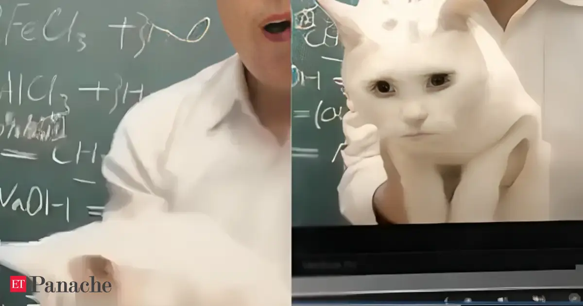 Chemistry teacher uses cat as teaching assistant, and the internet can ...