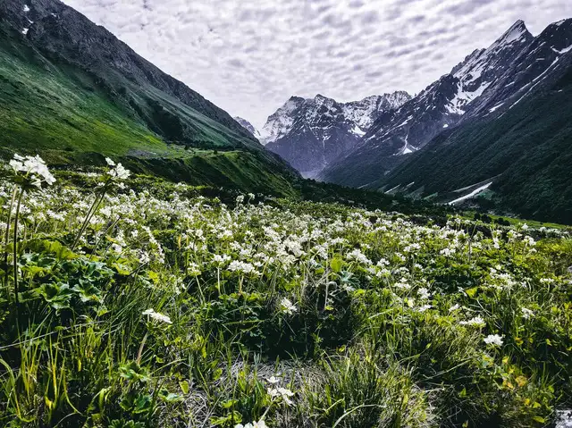 Valley of Flowers reopens for 2025: Dates, timings, entry fees & trek ...