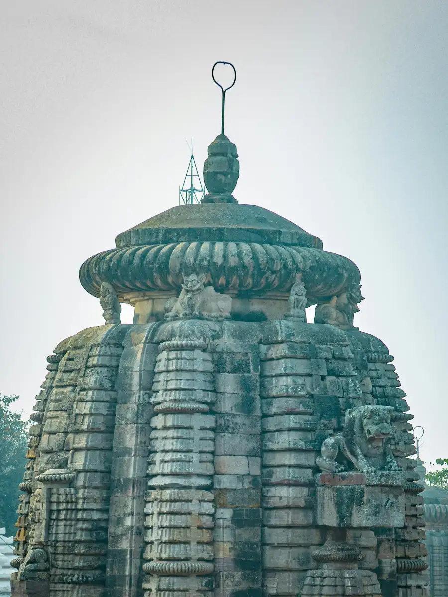 8 Ancient Temples Hidden in Indian Forests & the Wildlife That Roams ...