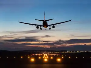 Radius of 10 km bird-free zone required for safe flight operations ...