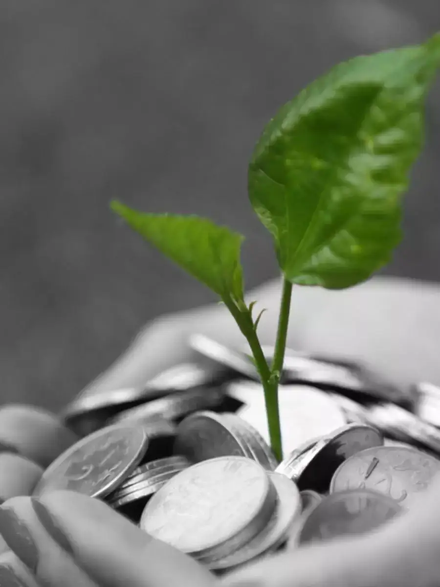 7 mutual fund NFOs will open for subscription this week | EconomicTimes