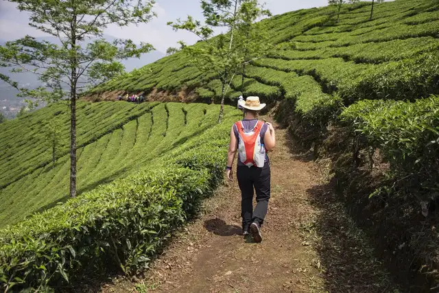 6 solo travel destinations in India to explore this monsoon - Munnar ...