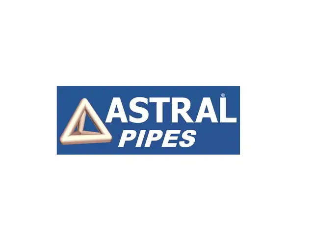 Stocks to buy in 2025 for long term: Astral, Prince Pipes among 5 ...