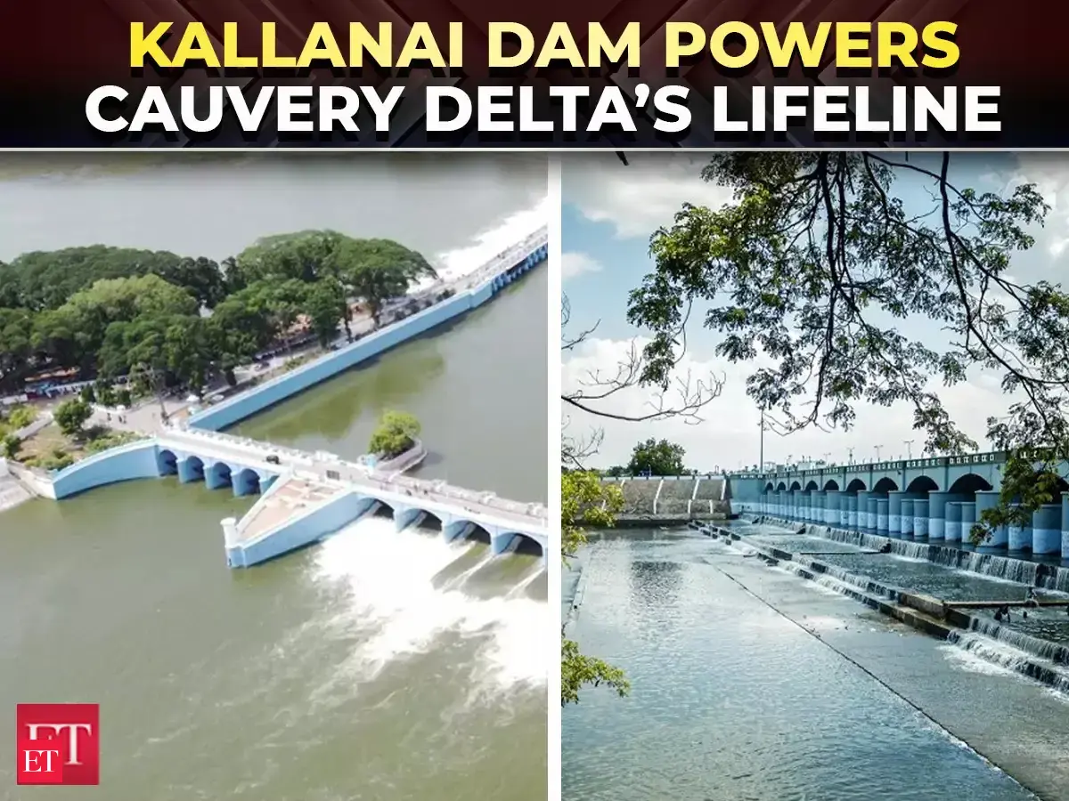 Aerial view captures smooth water distribution from TN's Kallanai dam ...