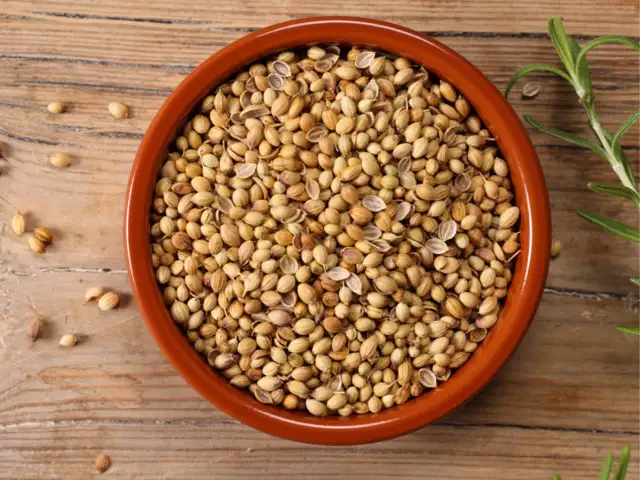 Coriander seeds (the gentle daily cleanser) - Kidney in trouble? 6 ...