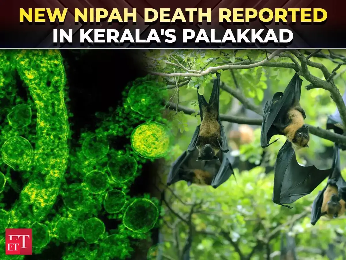 New Nipah death reported in Kerala's Palakkad; 6 districts put on alert ...
