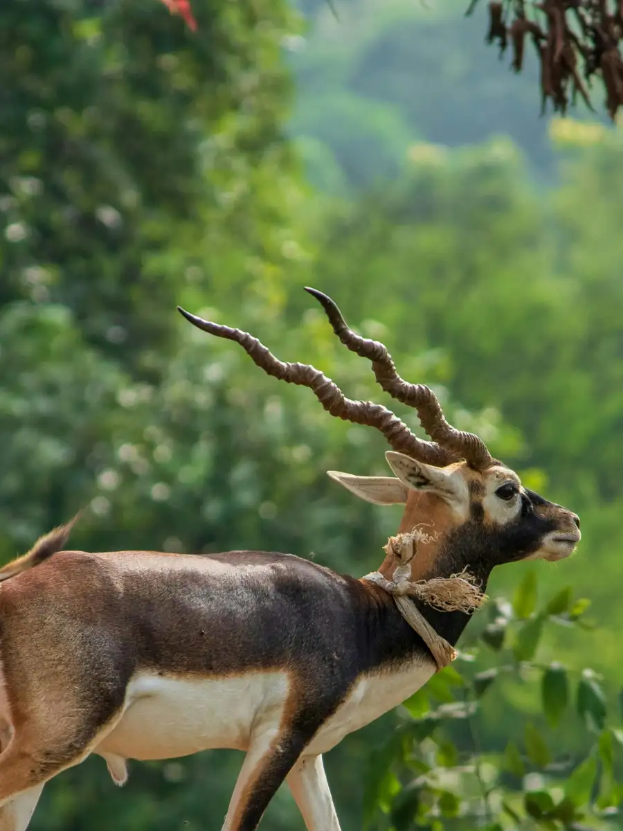 8 National Parks for the True Explorer | EconomicTimes