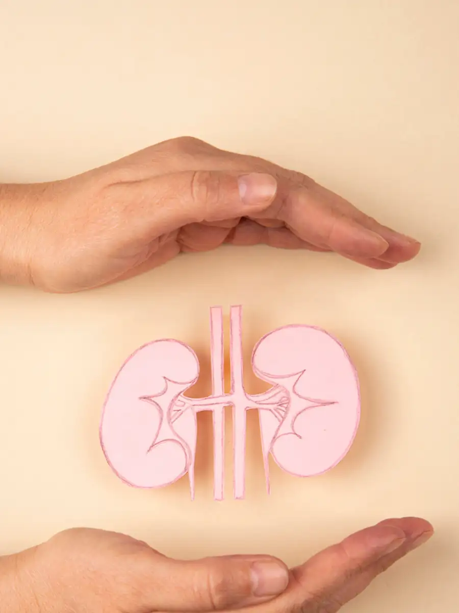 9 powerful foods that naturally boost kidney health | EconomicTimes