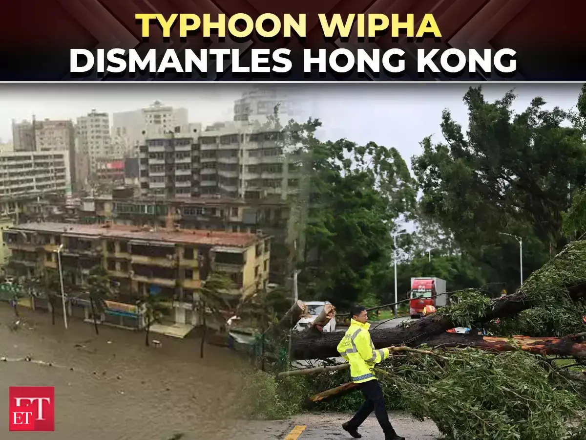 Typhoon Wipha wreaks havoc in Hong Kong, strong winds topples trees and ...