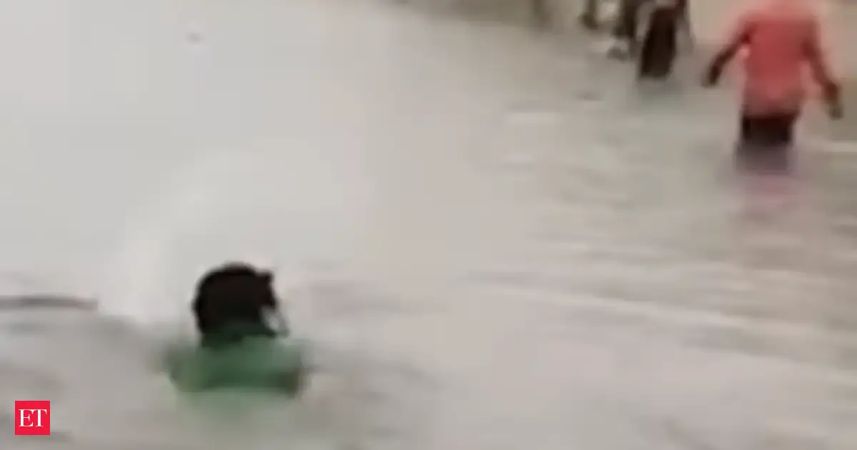 Watch viral video: Man swims through waterlogged street in Delhi - The Economic Times