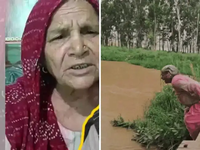 She's Haryana's 'fitness queen' at 77. Who's 'Desi Dadi'? - The ...