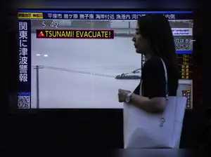 Japan tsunami warning: Baba Vanga Japan Tsunami Prediction: Here’s all ...