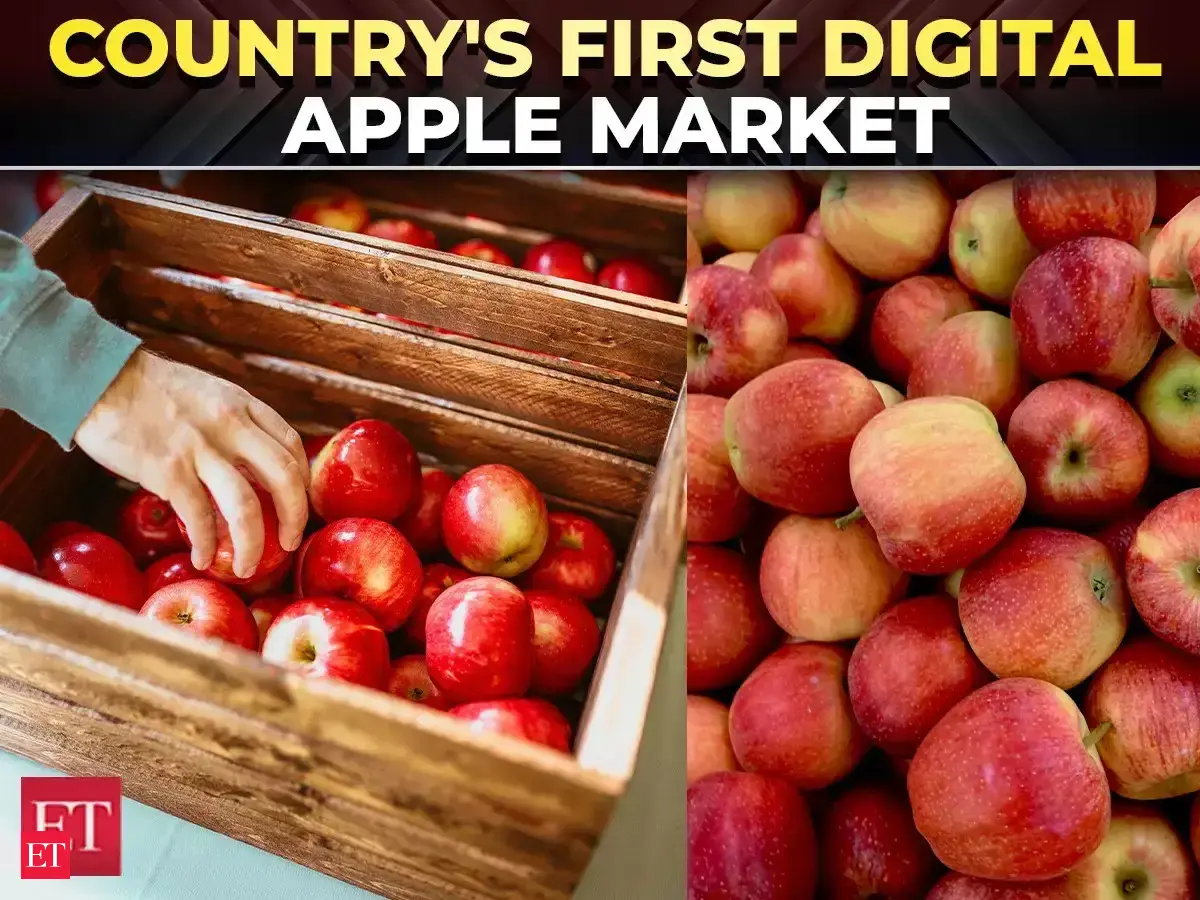 India’s first digital Apple platform goes live in Himachal, farmers ...