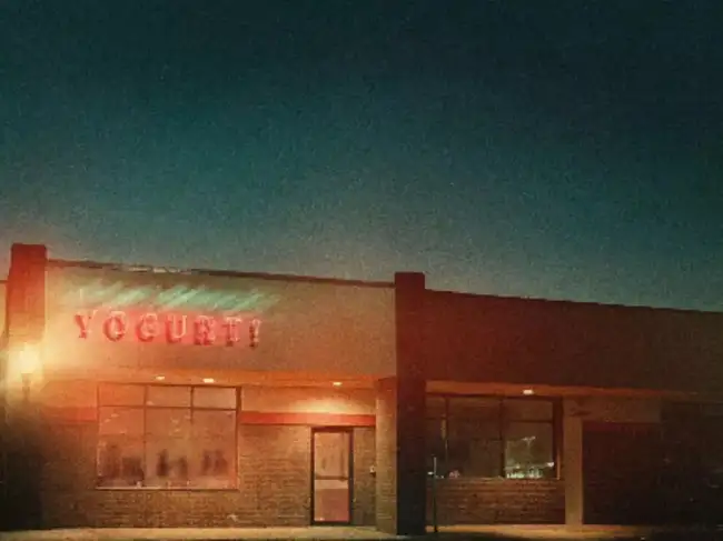 The Yogurt Shop Murders OTT release: When and where to watch the ...