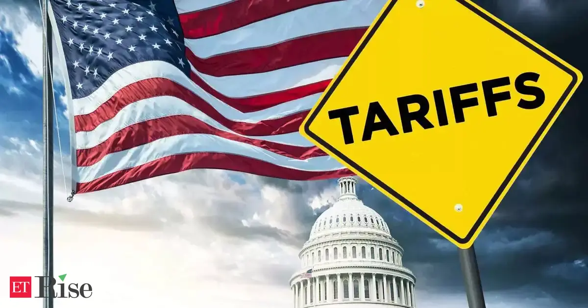 What's it like to deal with brutal US tariffs? Ask Malaysia - The Economic Times