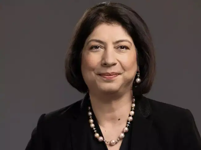 She moved to the US at 11. India-origin CEO in Fortune’s list with ...