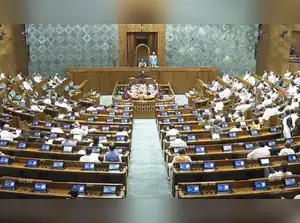 Lok Sabha passes Merchant Shipping (Amendment) Bill - The Economic Times