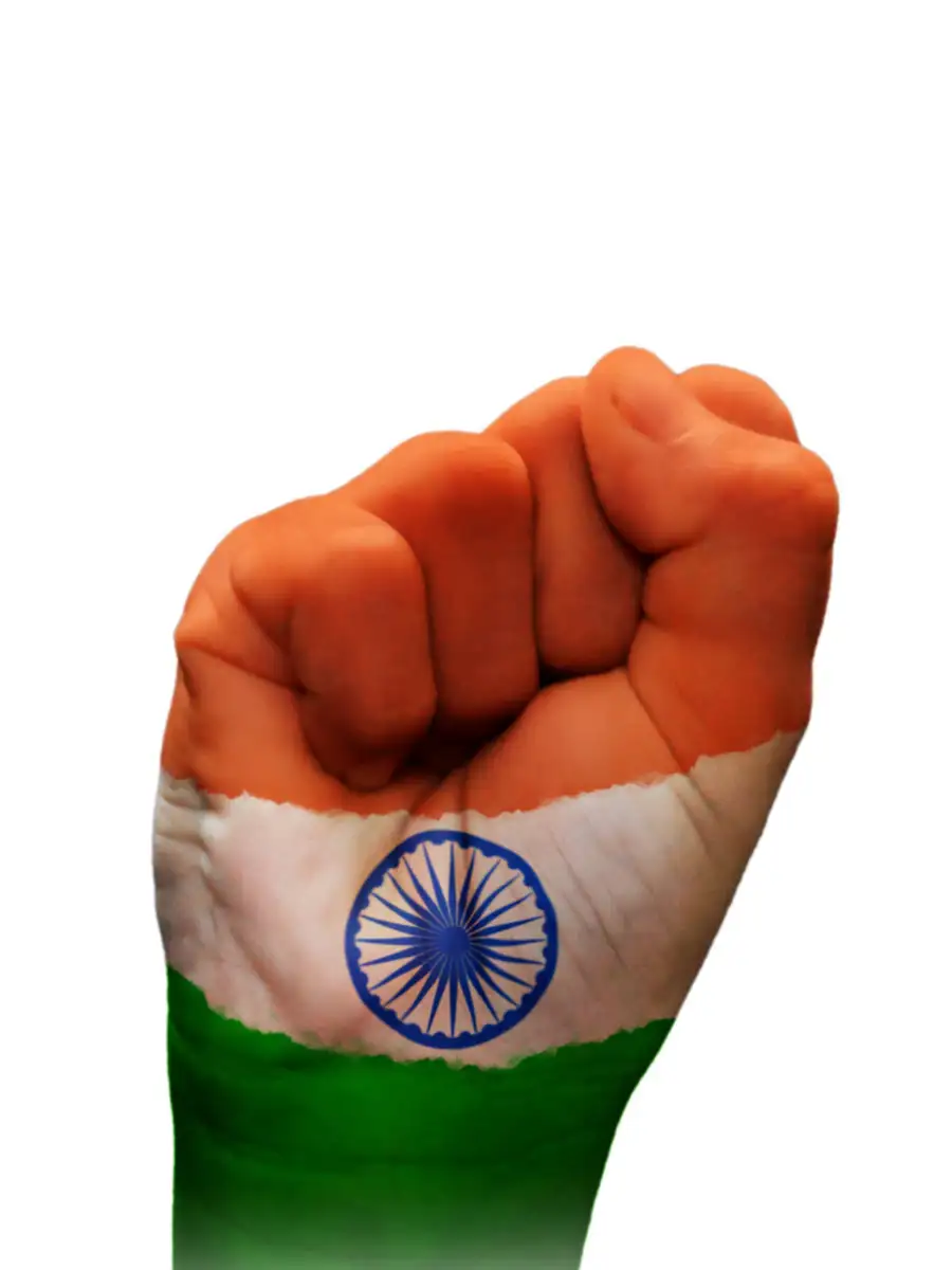 9 ways to celebrate Independence Day at home | EconomicTimes