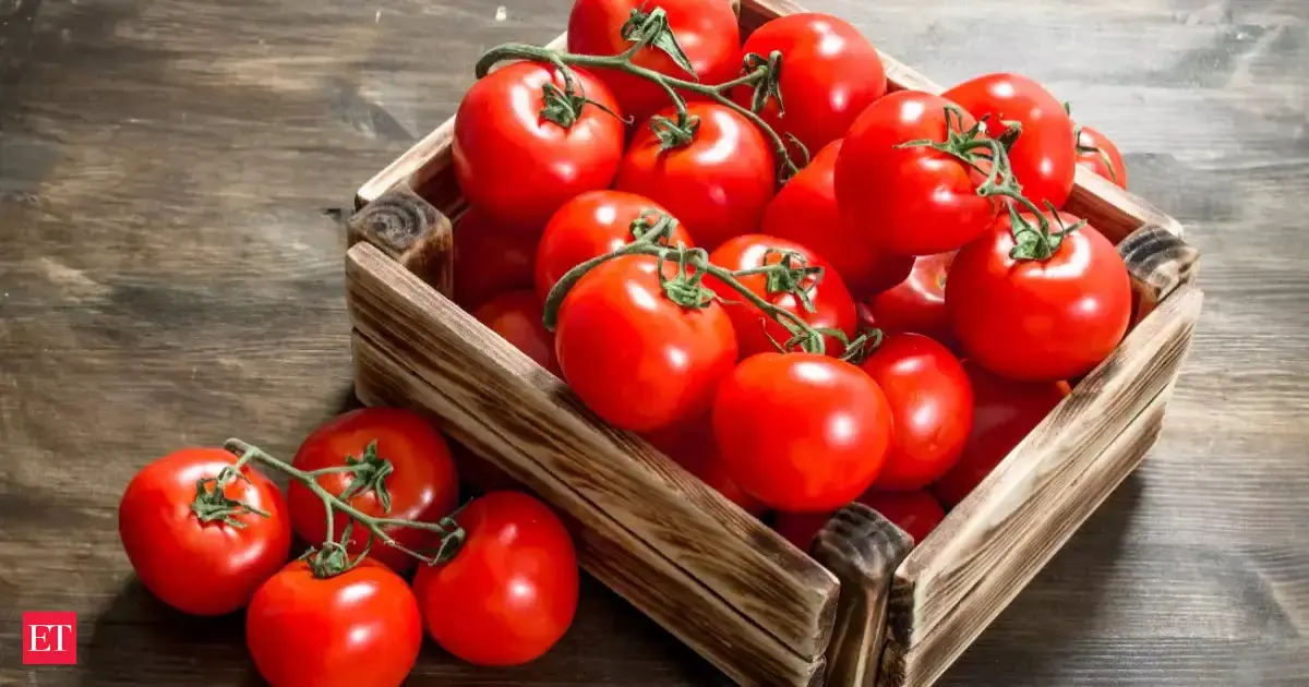 Centre launches subsidised tomato sale at Rs 47-60/kg in Delhi as ...
