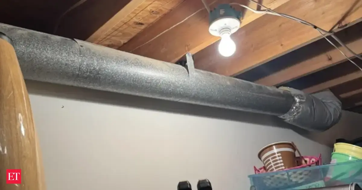 Optical illusion: Only the sharpest eyes can spot the hidden cat in ...