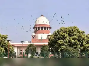 State vs Centre: Jharkhand's infiltration dispute still pending in ...