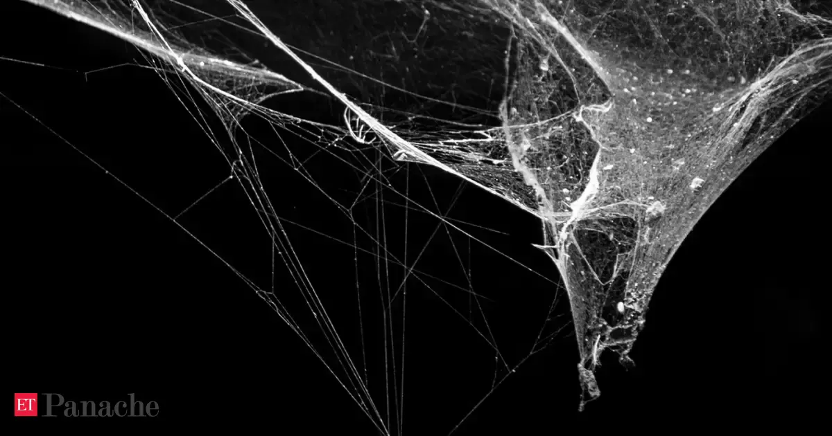 Cobwebbing is the new breakup detox trend helping singles. Experts say ...