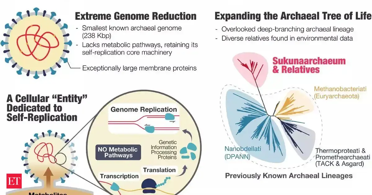 Scientists uncover a microbe challenging the definition of ‘Life’; a ...