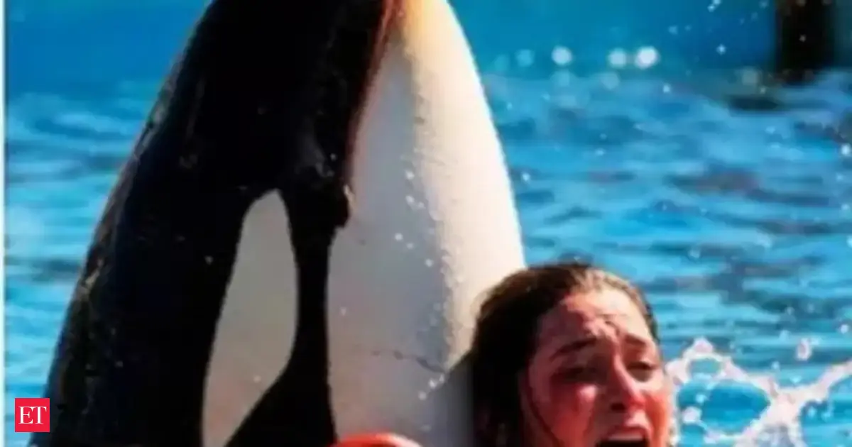 Justice for Jessica: Who is marine trainer Jessica Radcliffe? Here's a ...