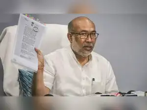 Identification, deportation of illegal immigrants vital for Manipur: Ex ...