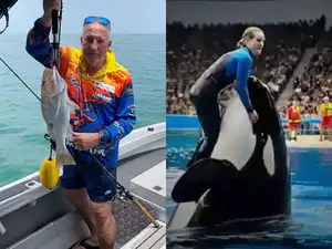 Ian Botham’s crocodile escape resurfaces amid Jessica Radcliffe ‘Orca ...