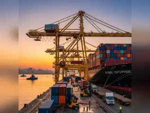 Kolkata port signs Rs 343.58 cr deal for Haldia berth mechanisation ...
