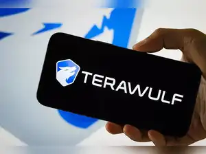 TeraWulf stock soars on Google backing: TeraWulf stock goes wild, up 22 ...