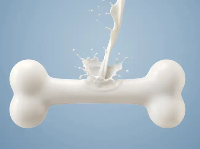 Does milk really make bones stronger? Experts debunk the myth but with a catch - The Economic Times