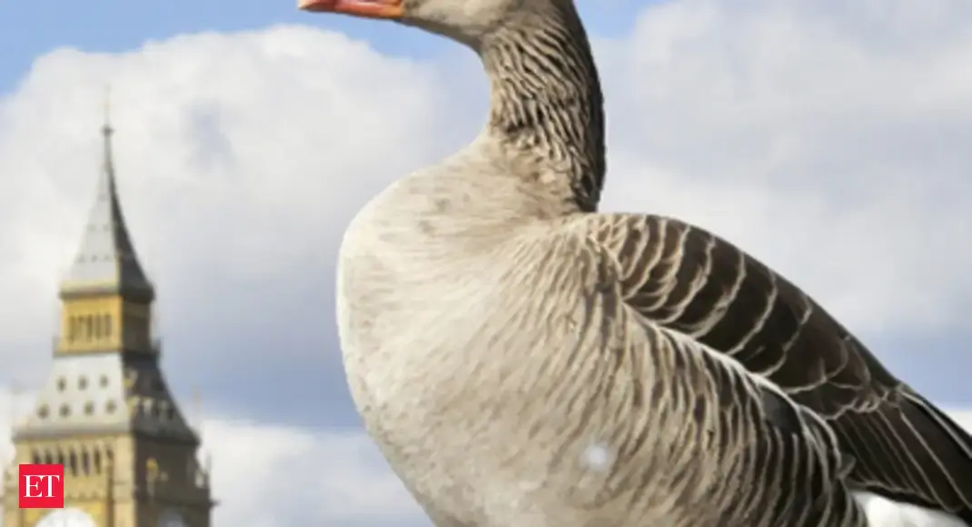 Sonia Gandhi at Hamdullah Sayeed's wedding reception - March 19, 2011 ...
