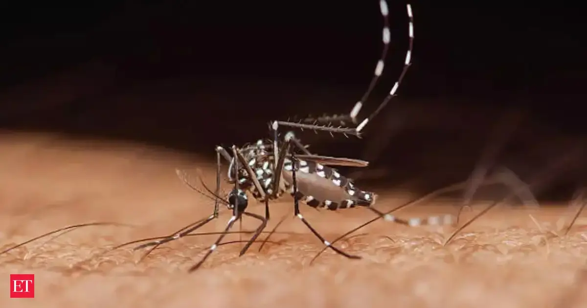 West Bengal witnesses sudden spurt in dengue cases - The Economic Times
