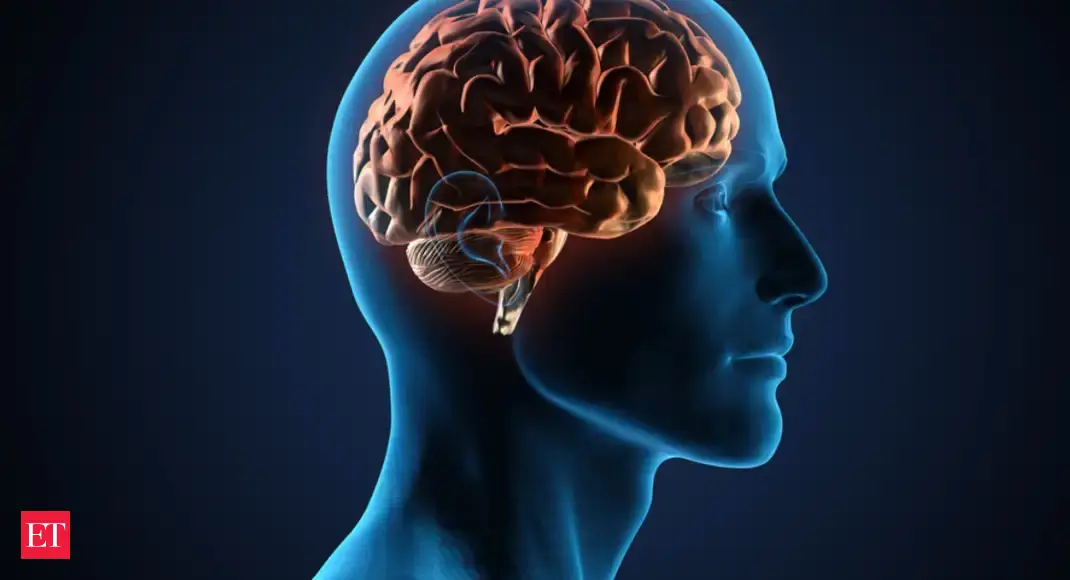 Stronger bones, sharper memory? How it works and 4 foods to eat - The ...