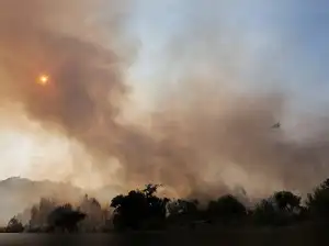 Pickett fire near Calistoga, California: Evacuations and latest updates ...