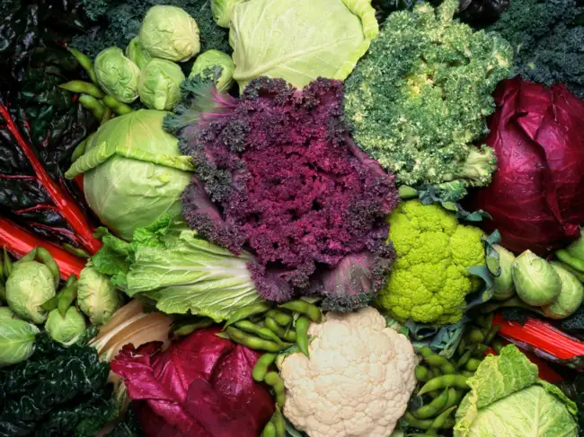 Slash colon cancer risk in its tracks: Scientists reveal a simple 20 ...