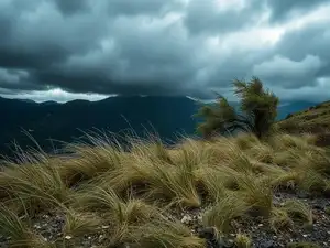New Zealand weekend weather forecast: severe winds, snow warnings and ...