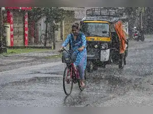 IMD forecasts heavy rain in sub-Himalayan West Bengal till Sep 19 - The ...