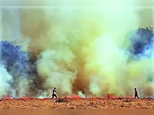 Supreme Court hints at arrests, penalties to curb stubble burning - The ...