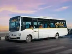 Cityflo taps transport veteran Victor Nagaonkar to lead Urban bus ...