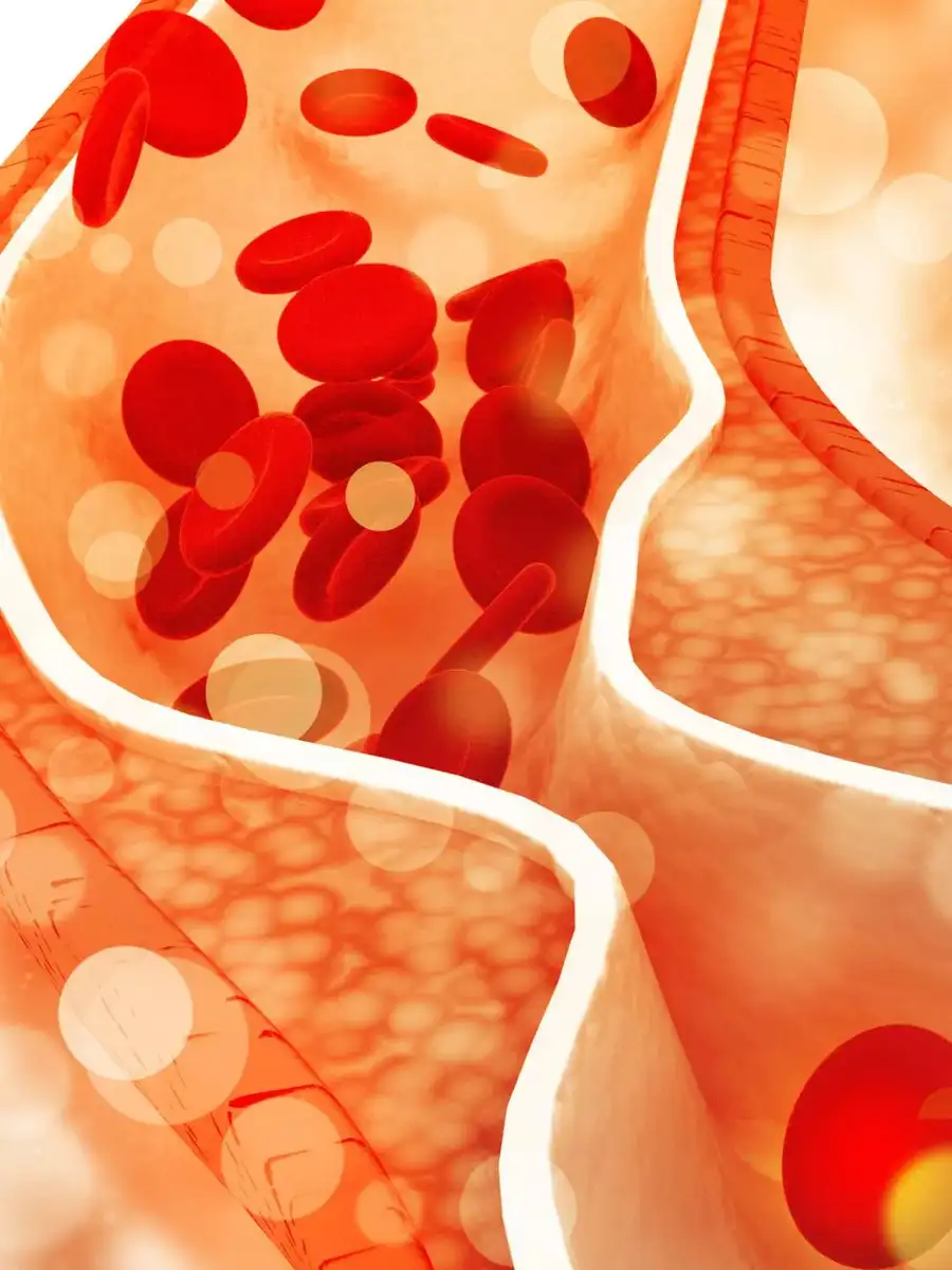 7 foods for improved blood circulation in the body | EconomicTimes