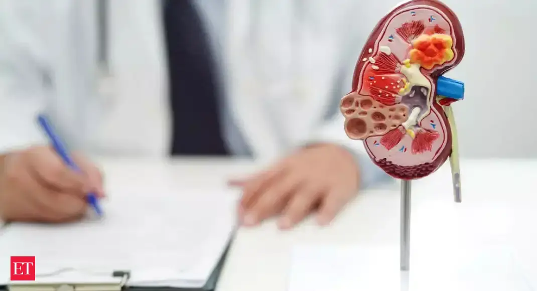 Kidney health: 9 most dangerous things for the kidneys to be aware of ...
