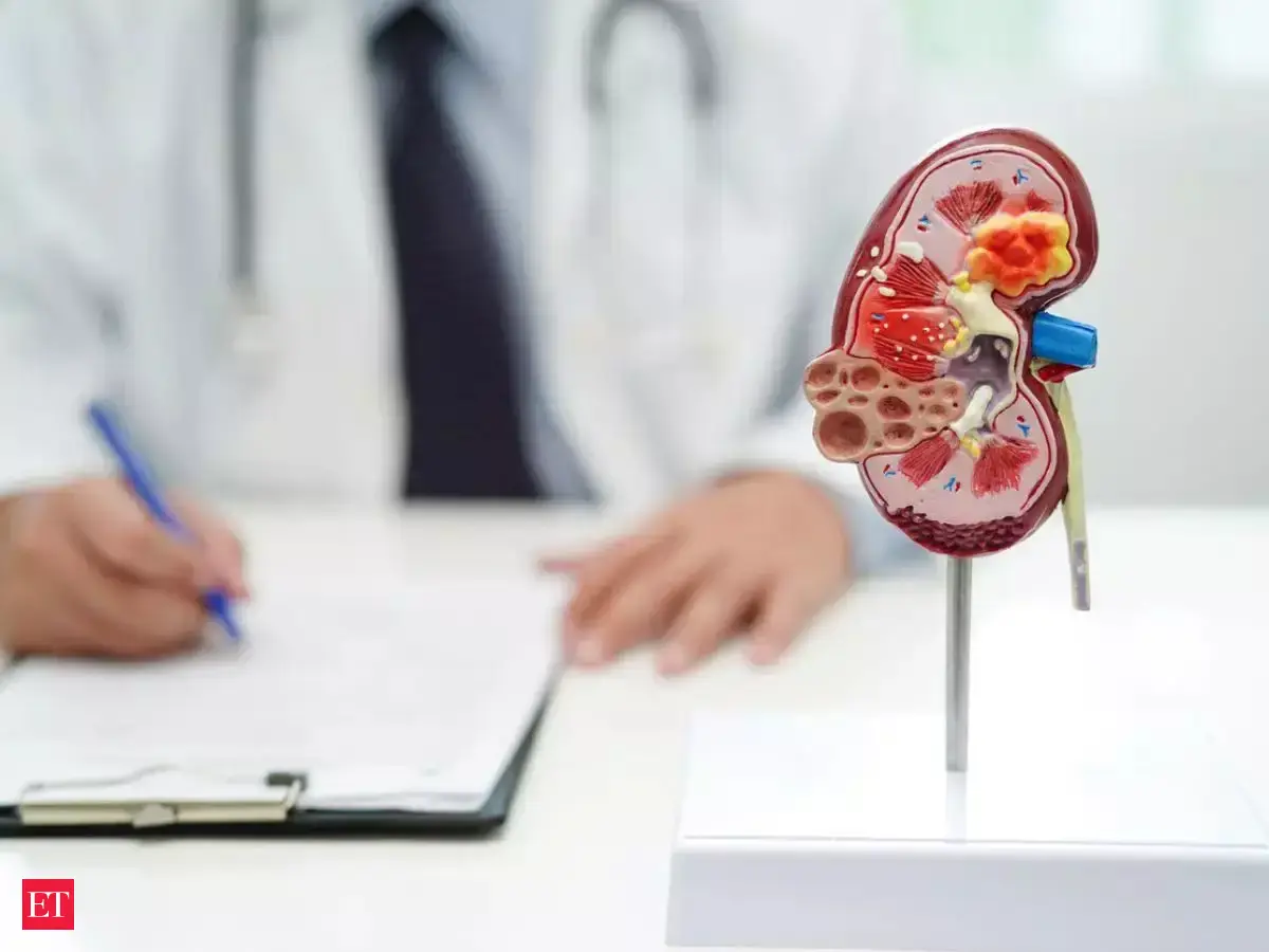 Kidney health: 9 most dangerous things for the kidneys to be aware of ...