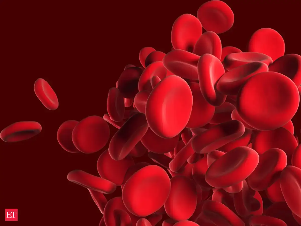 Top 5 foods that naturally boost red blood cell count - Naturally boost ...